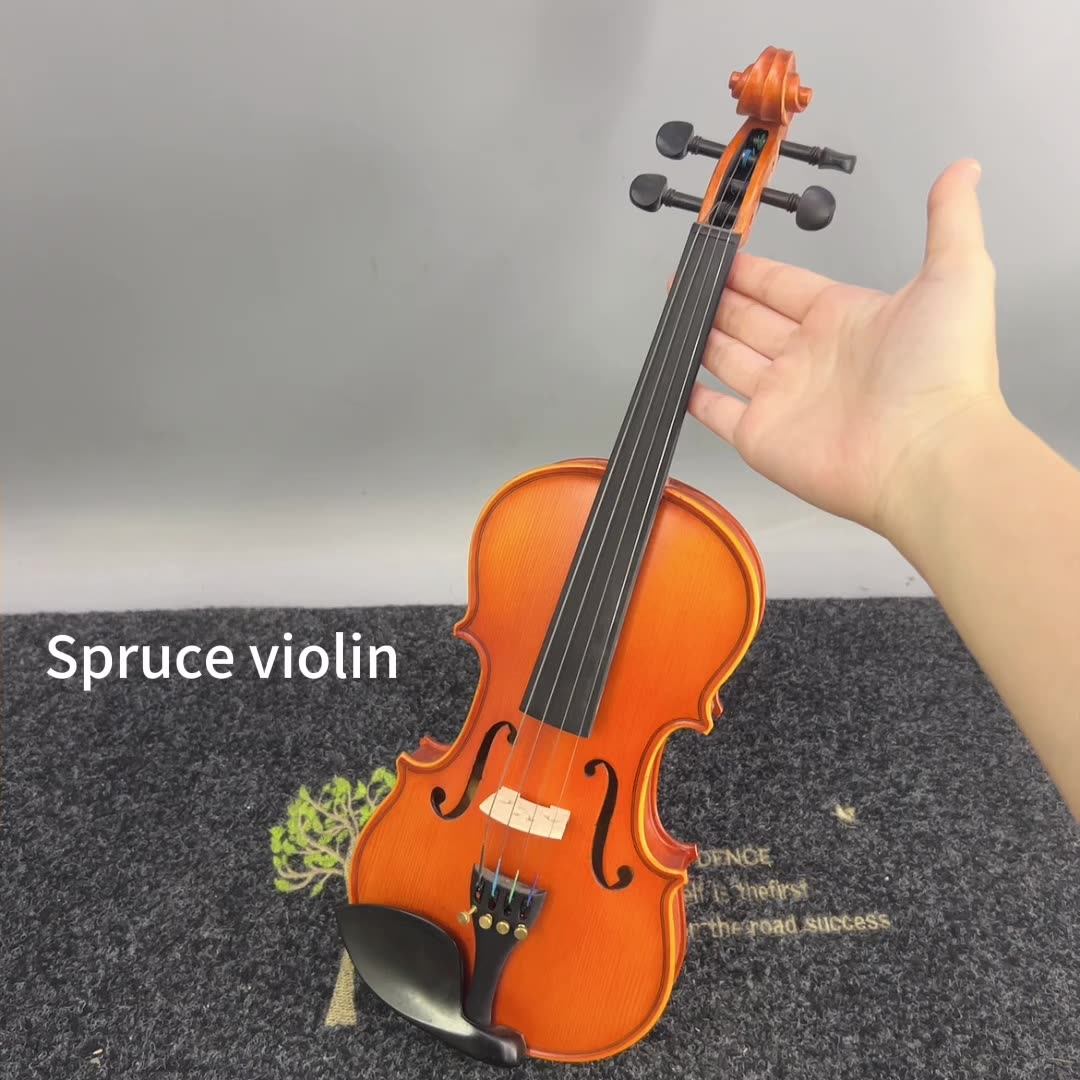 Retail Kids Violin Outfit Gift German Solid Wood Violin Nice ...