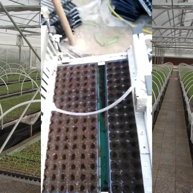 Automatic Seed Tray Planter Machine Tray Seeding Machine Seeders - Buy ...