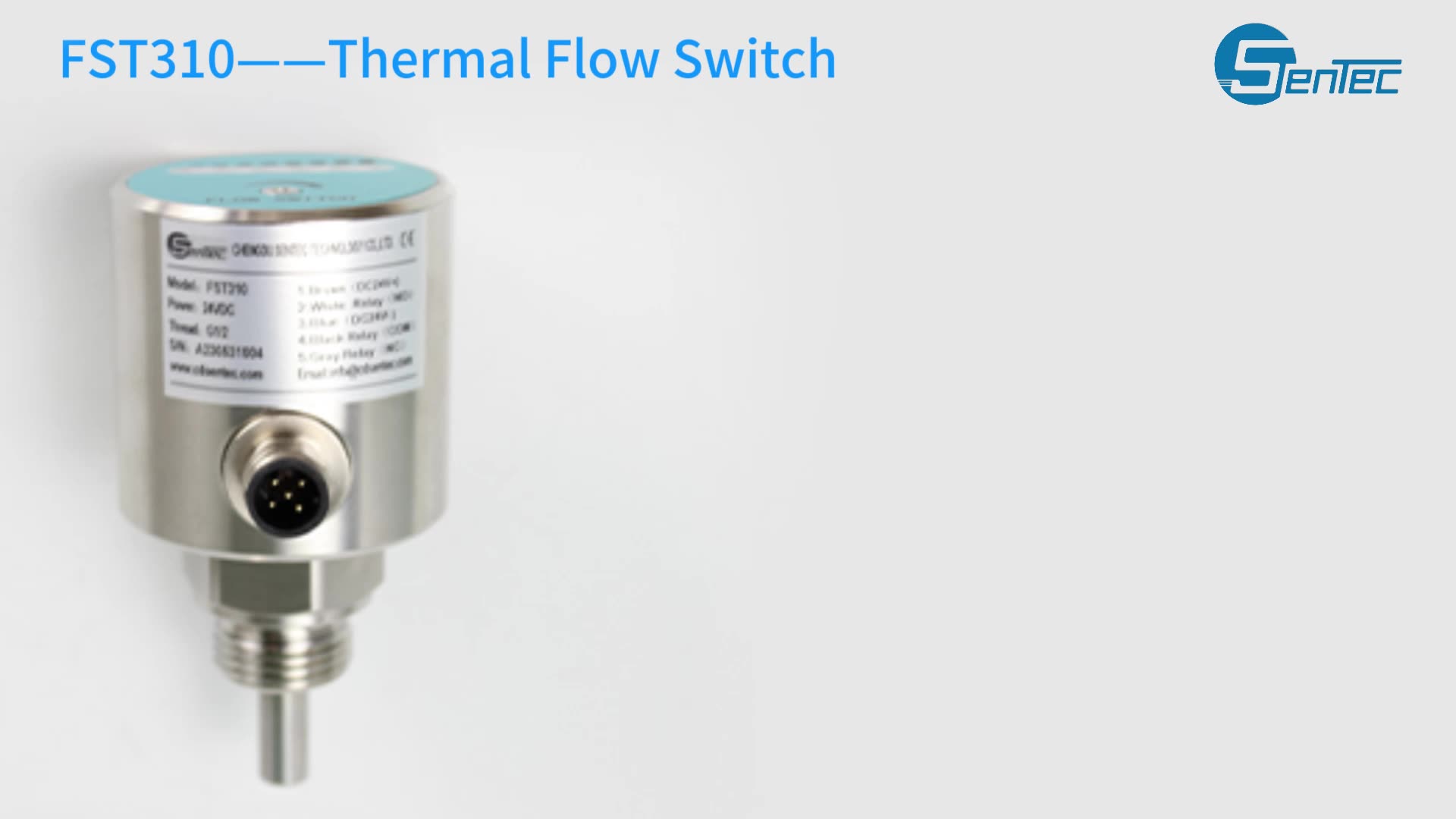 Fst310 12v Electronic Flow Switch Flow Monitor For Water Pump - Buy 12v ...