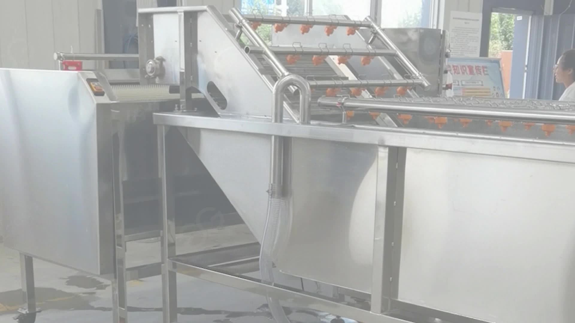 High Efficiency Industrial Vegetable Mango Cleaning Date Blueberry ...