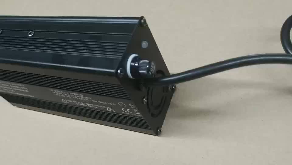C600 12v 20a Lifepo4 Battery Charger 4s 14.6v 12v Smart Battery Charger ...