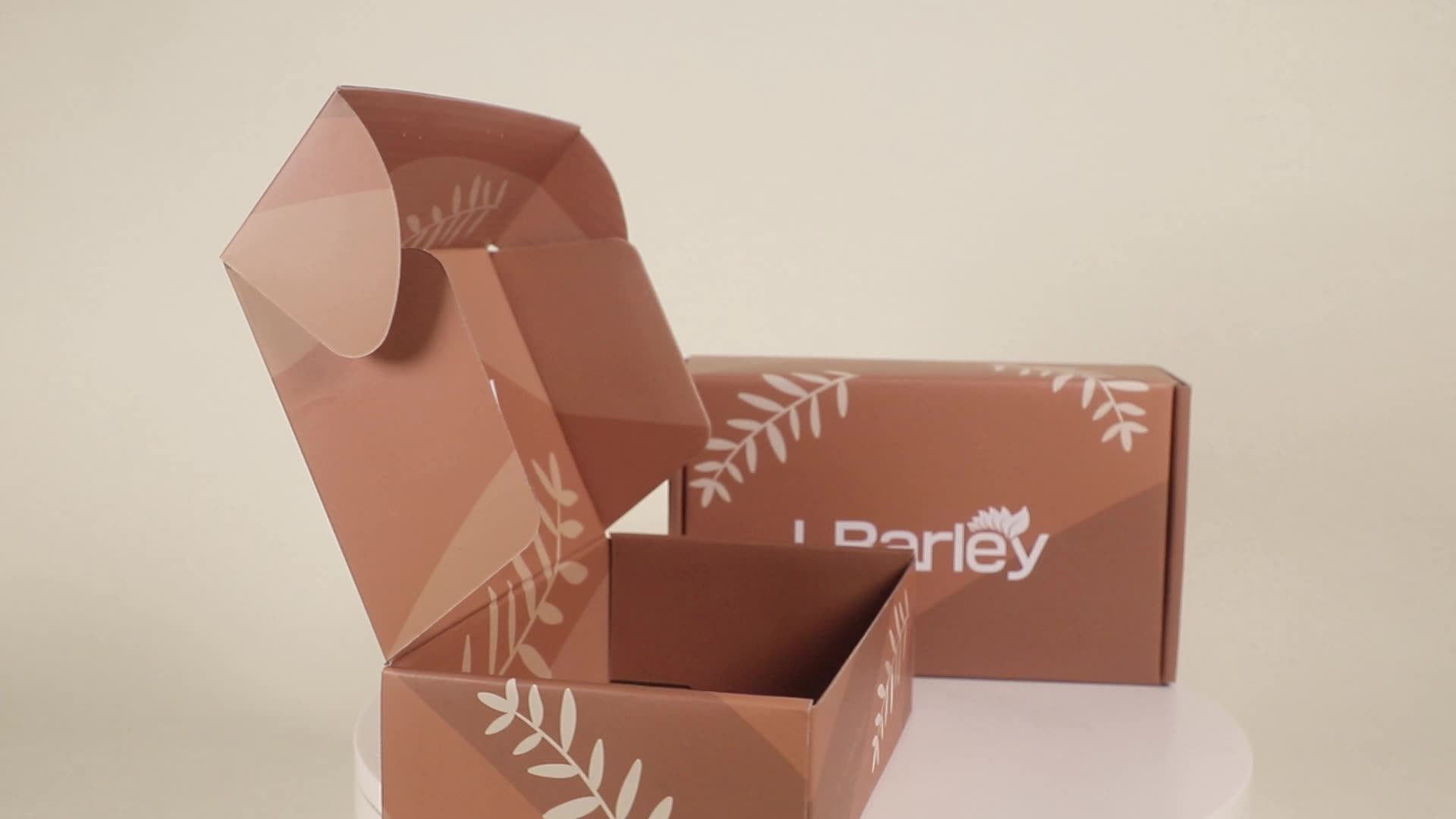 Free Samples Custom Printed Design Postal Airplane Shipping Mailing Box ...