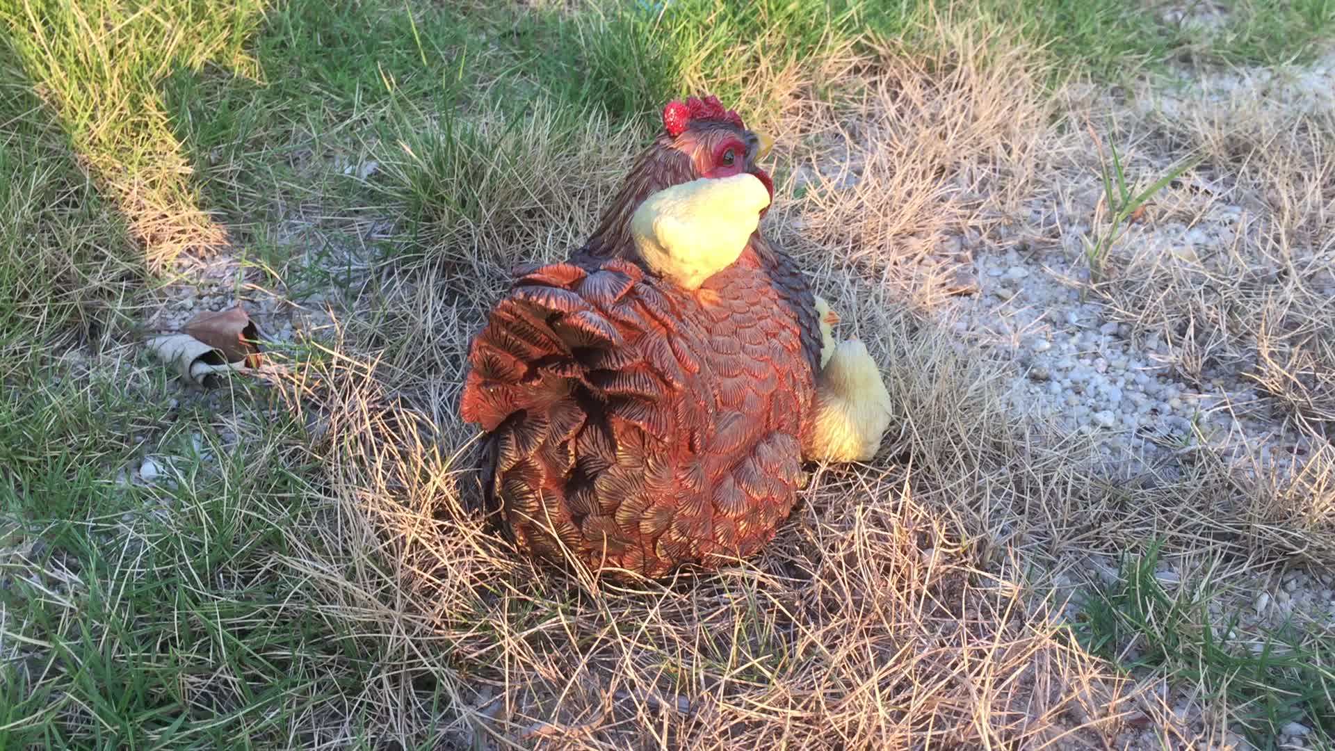 Farm Animal Figurine Realistic Resin Brown Hen With Chicken,Polyresin ...