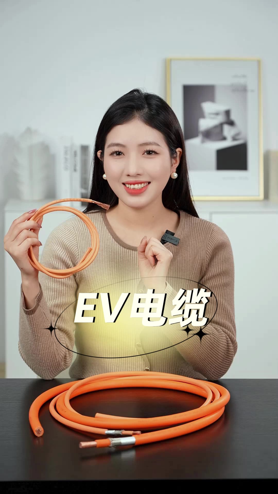 储能电缆 汽车内部高压电线电缆 EV QZJ-C/XLPE 1000/1500V 125℃-阿里巴巴