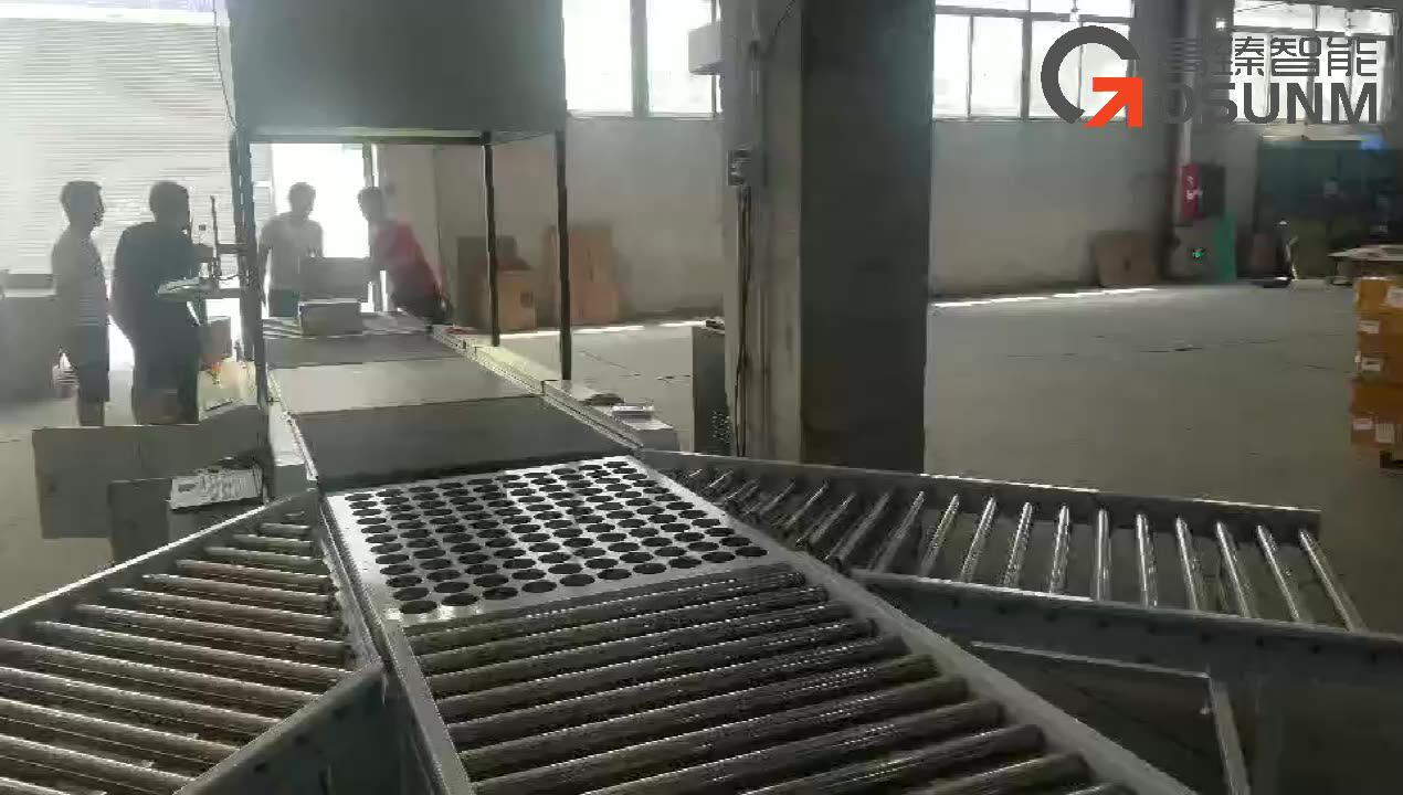 Automated Roller Conveyor Systems Warehouse Use Express Ecommerce Dws ...