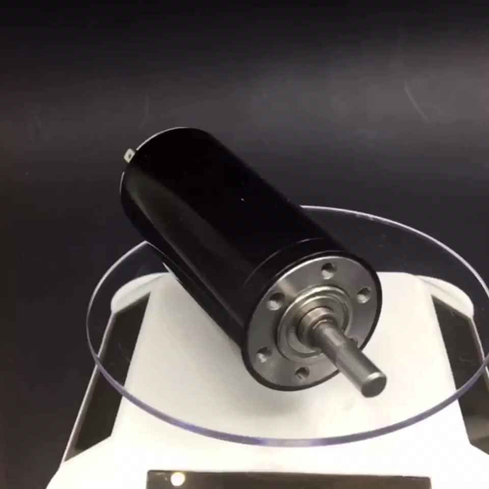 24v Dc Coreless Replacement Maxon Motor - Buy Maxon Motor,Micro Motor ...