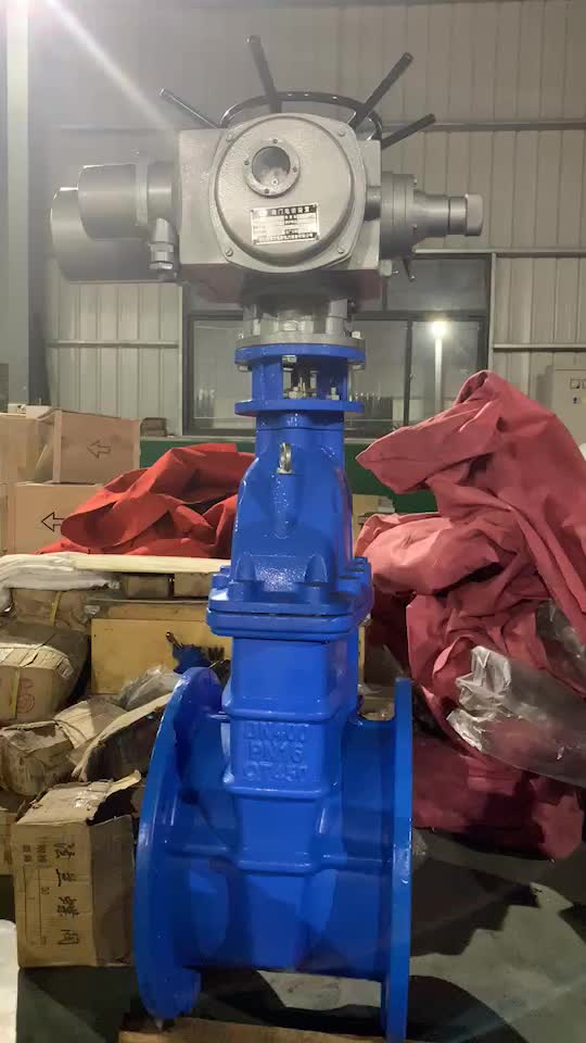 Z41X-10Q 明杆弹性座封闸阀 橡胶软密封闸阀 水用管道阀门-阿里巴巴