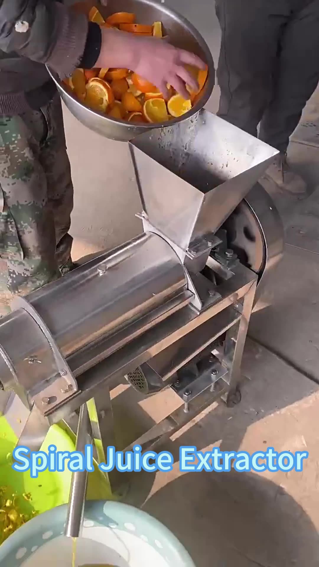 Industrial Large Scale Screw Juicer/ Vertical Fruit Vegetable Press ...