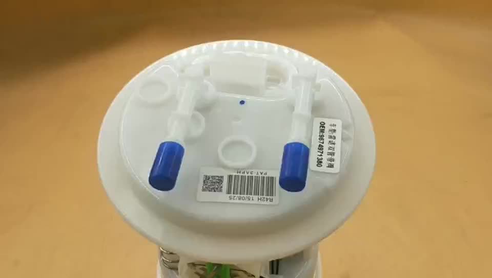 Топливный Насос Pat В Сборе 9674971380,347280 Для Peugeot Citroen Ds ...