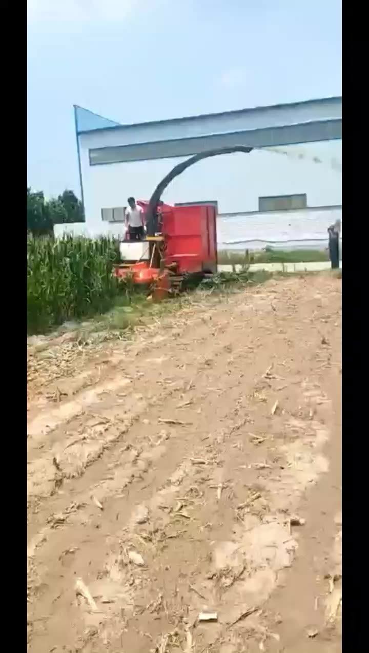 New Tractor Mounted Forage Grass Silage Harvester Fungus Green Feed ...