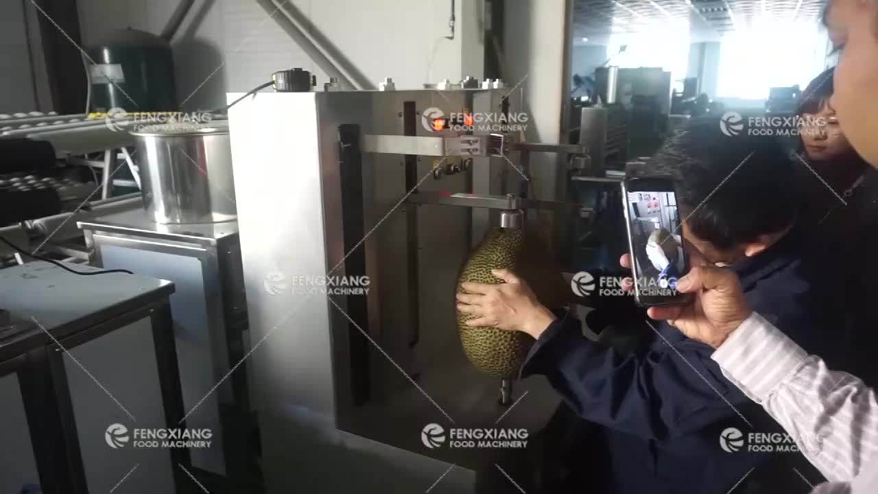 Automatic Pineapple Jack Fruit Jackfruit Peeler Peeling Coring Slicing ...
