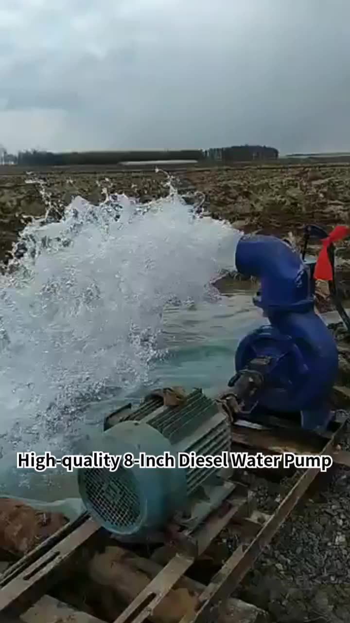 Agricultural Irrigation Power Supply Motor Diesel Water Pump With 20m ...
