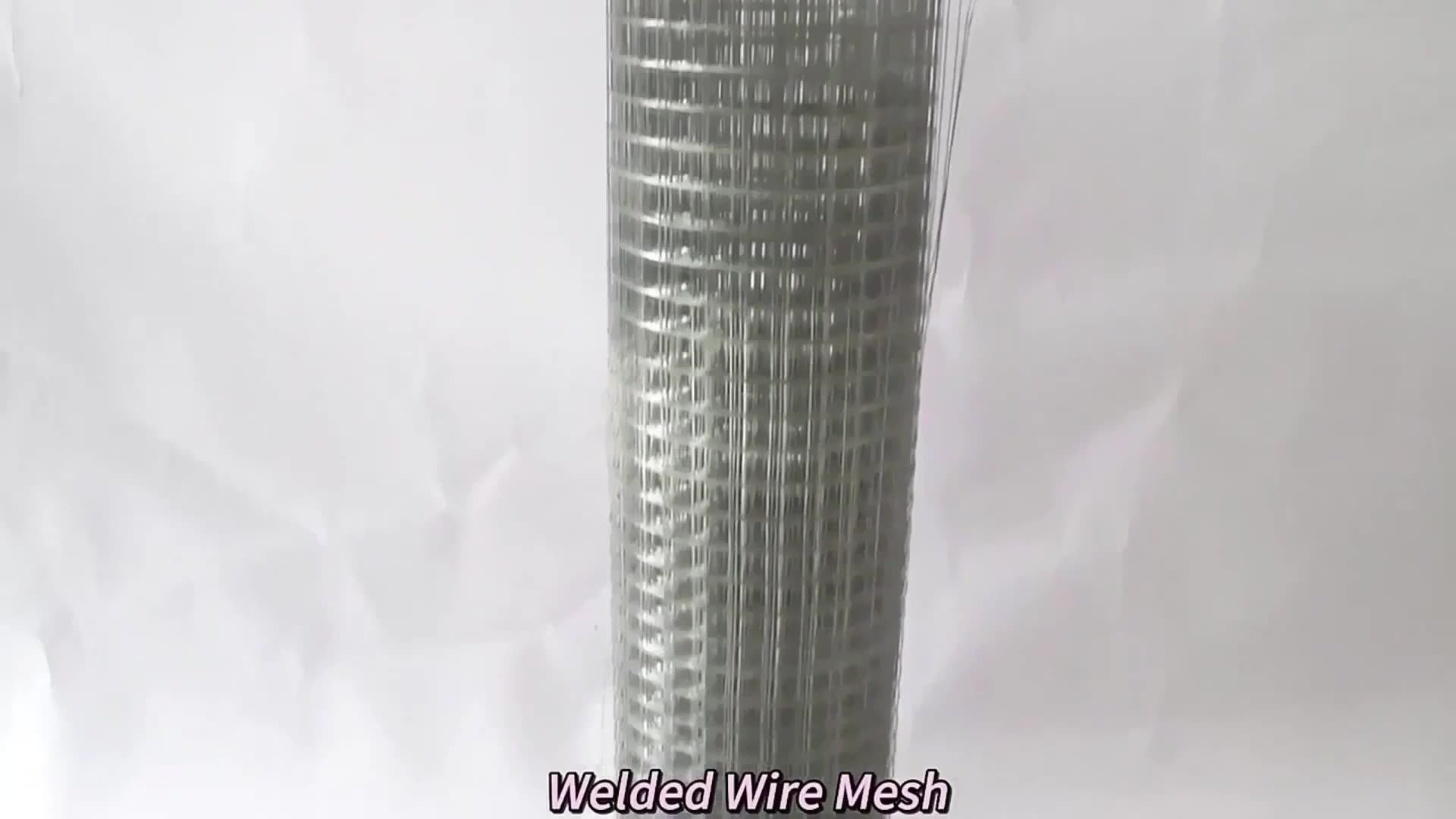 Galvanized Iron Wire Malla Electrosoldada 75mm 50mm Pvc Coated Welded ...