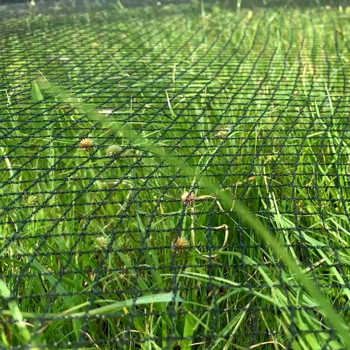 Hot Selling Heavy Duty Knotless Black Anti Bird Netting Vineyard ...