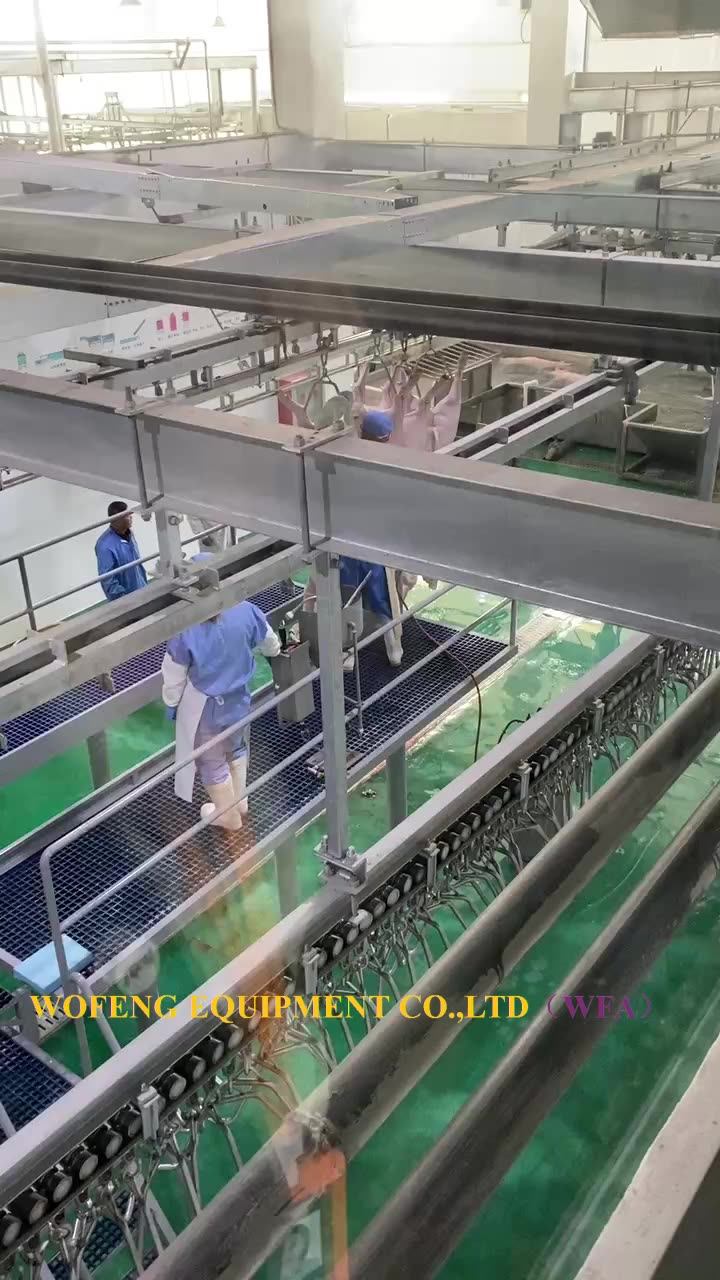 Factory Price Sow Pig Abattoir Slaughtering Equipment For Pork ...