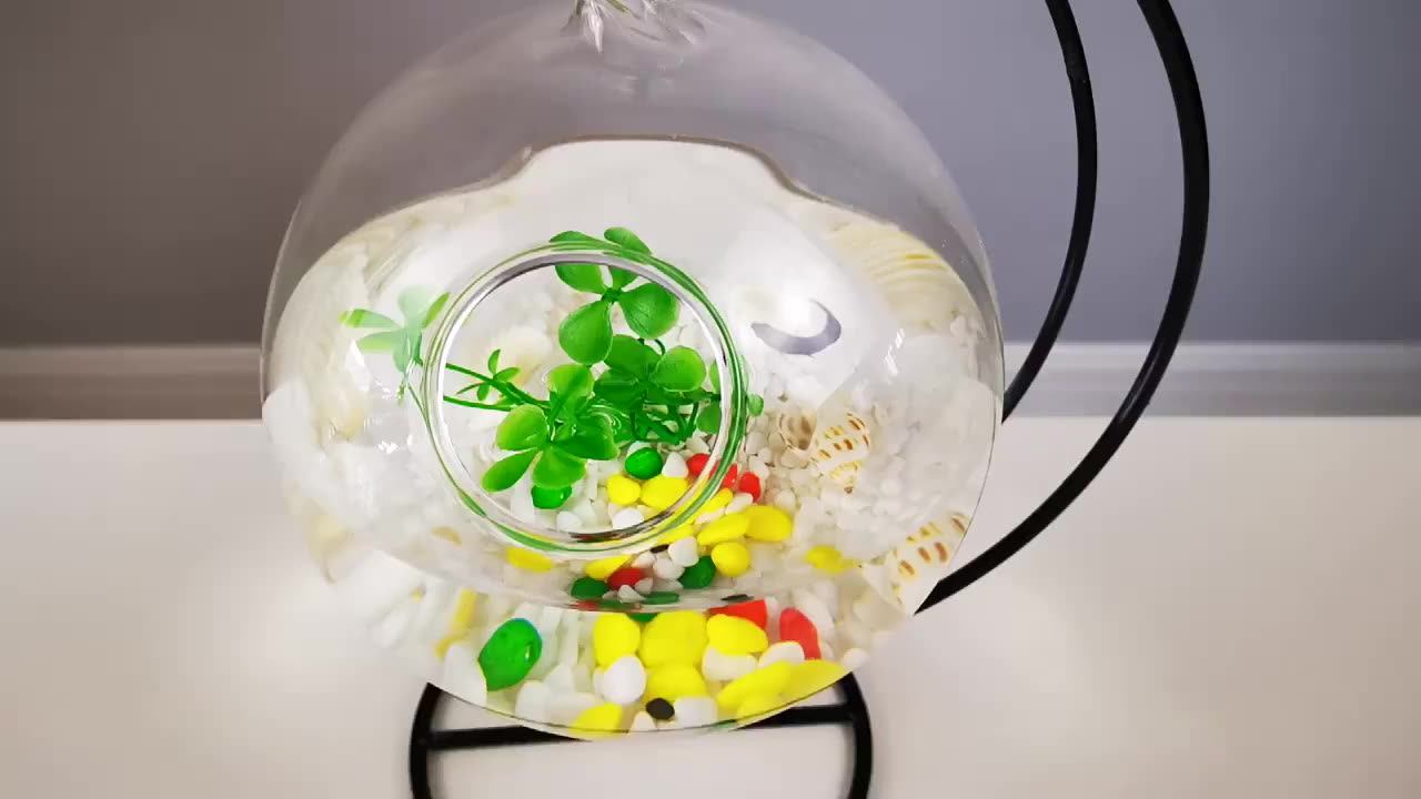 Goldfish Glass Ball Suspension Ecosphere Aquarium Fish Tank Flower ...