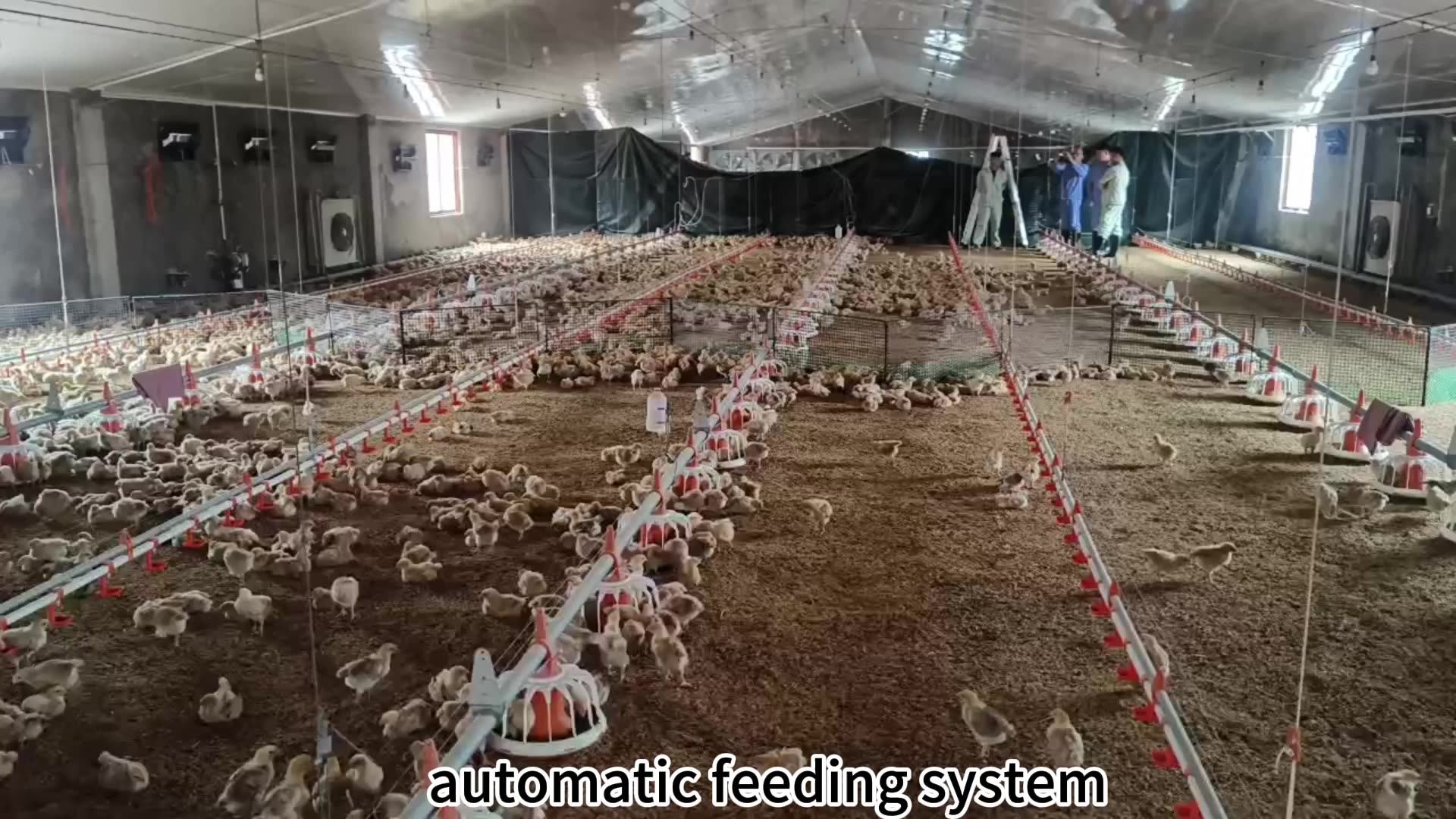 Poultry Automatic Chicken Feeder Pan Line And Watering System Chicken ...