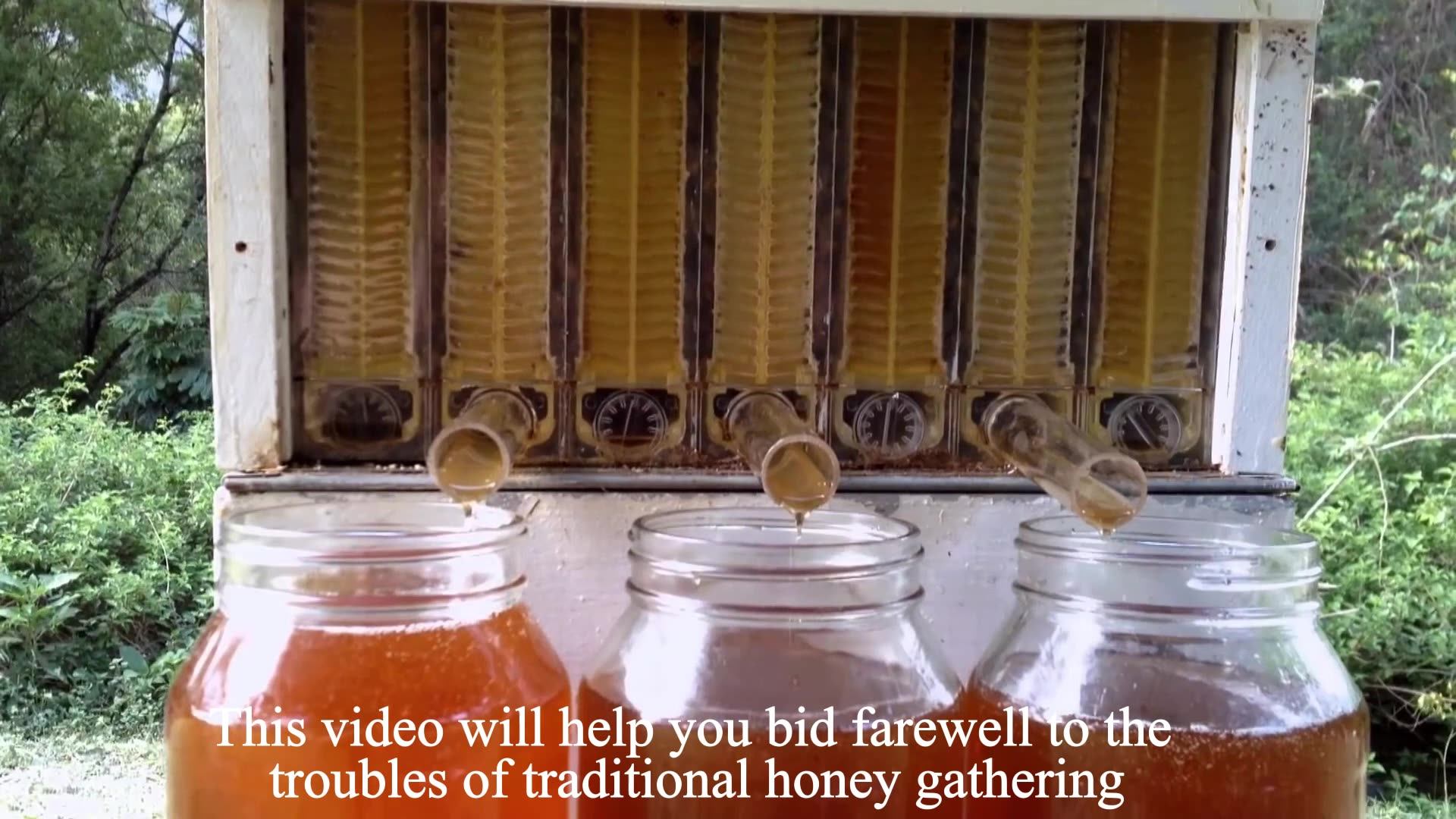 Automatic Self-flowing Honey 7 Bee Hive Frames Set Apiculture Equipment ...