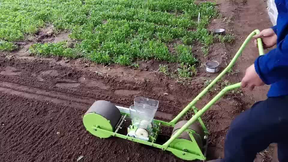 Anon Gasoline Engine Tomatoes Planting Machine Vegetable Seeder Carrot ...