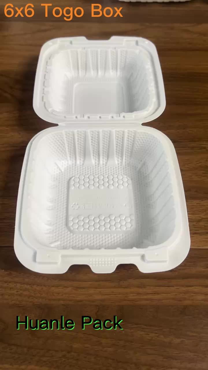 6x6 Plastic Mineral Fill Fast Food Plates Plastic Box To Go Fast Food ...