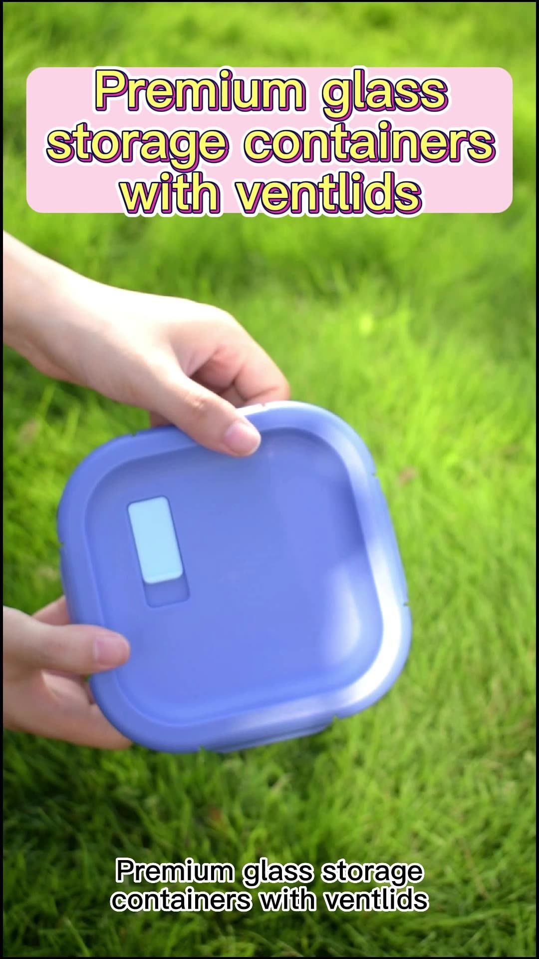 4-piece Square High Borosilicate Glass Storage Containers With Blue ...