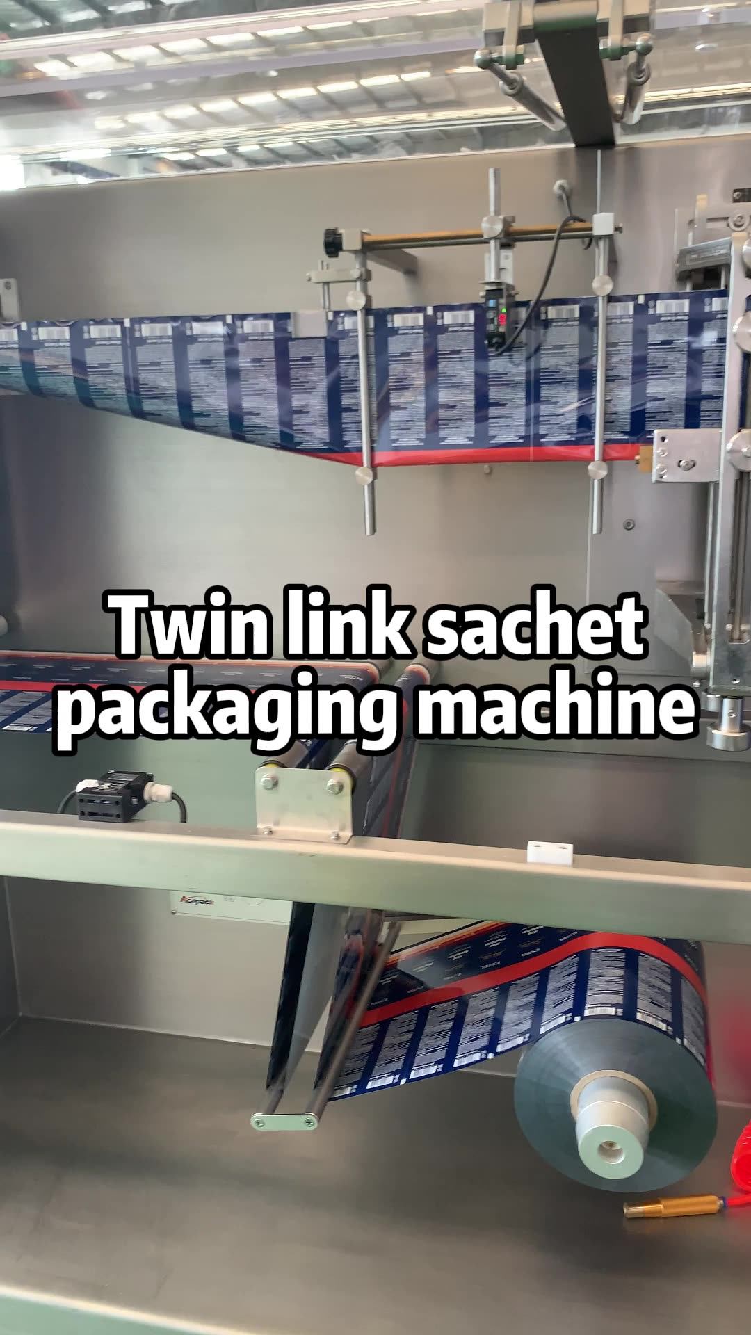 S-180t Fully Automatic Twin Link Pouch Food Packing Machine Three- And ...