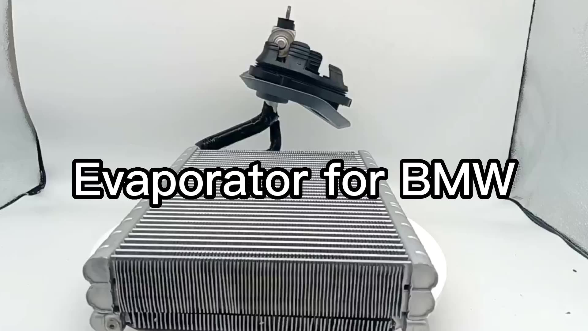 Car Ac Parts Evaporator With Expansion Valve For Bmw X5/x6/x7 Lhd 19-21 ...