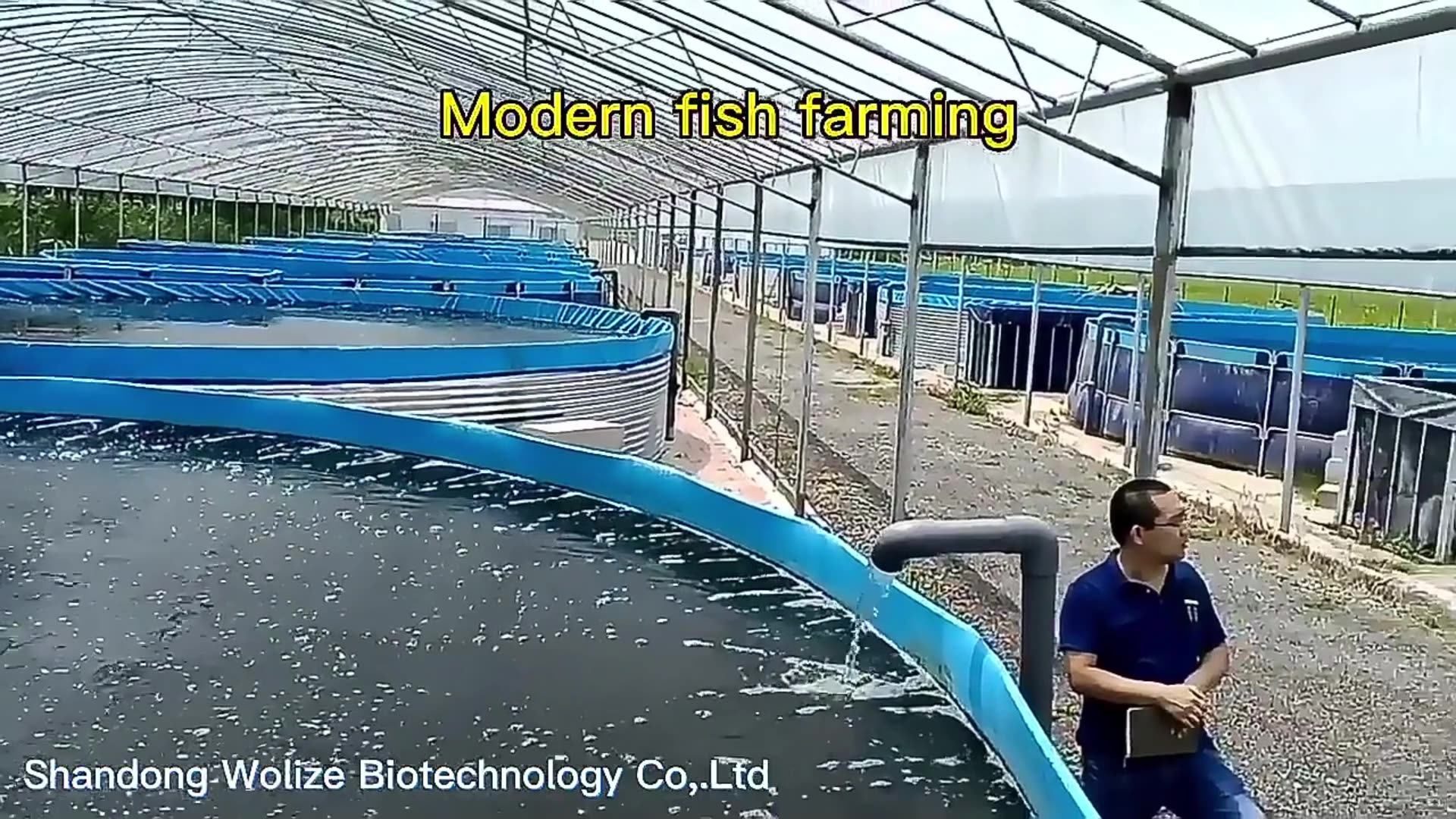 High Density Recirculating Aquaculture System Fish Tanks Large Fish ...