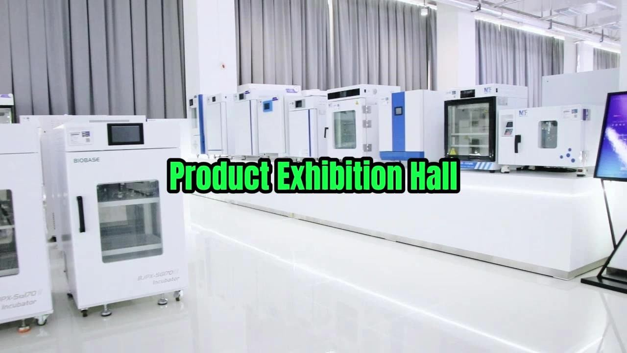 Biobase New 2023 Bk-s6 Pid Control Cheap Thermostatic Water Bath Pid ...