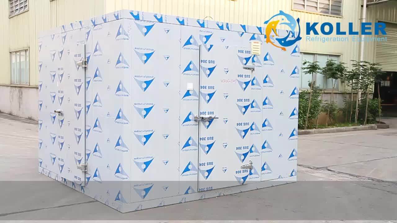 Small Cold Storage Room With Condenser Unit For Container Refrigeration ...