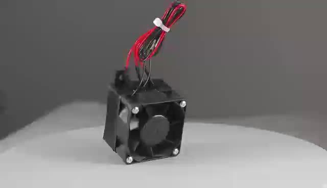 Thermostatic Egg Incubator PTC Fan Heater