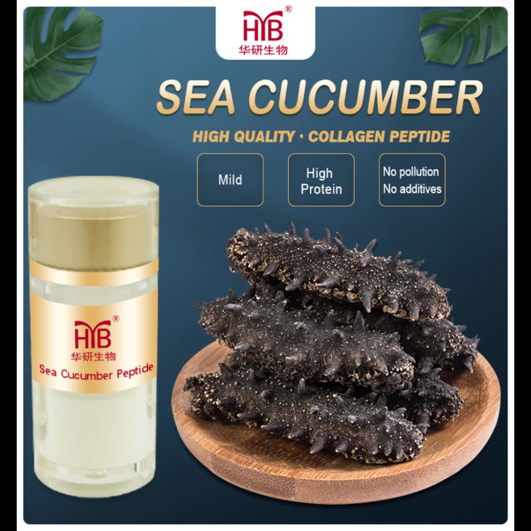 100 Pure Sea Cucumber Peptide Powder Supplement Halal Sea Cucumber Extract Peptide Powder