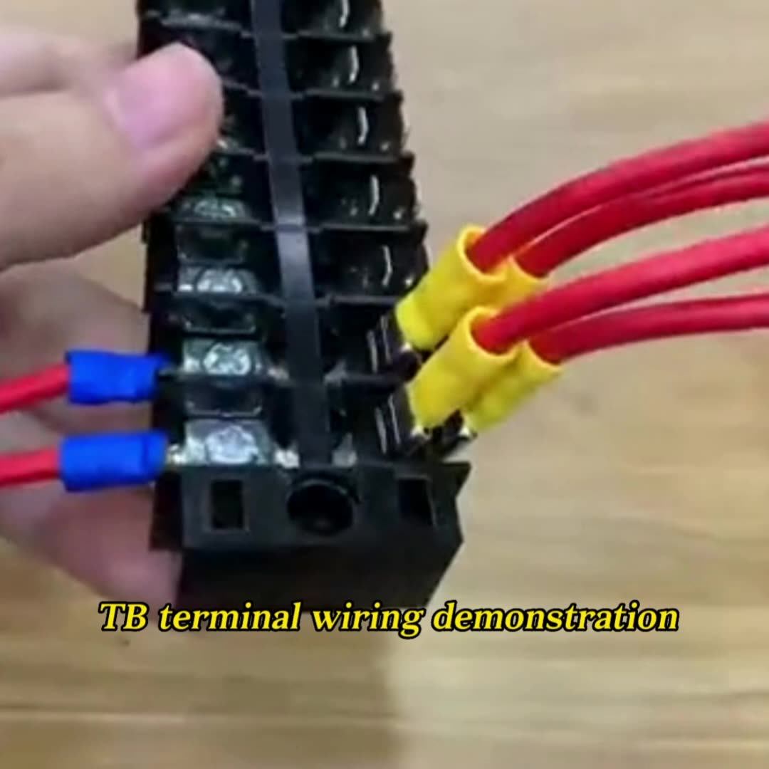 300pcs Combination Insulate Terminal Boxed Ring Type Pre-insulated ...