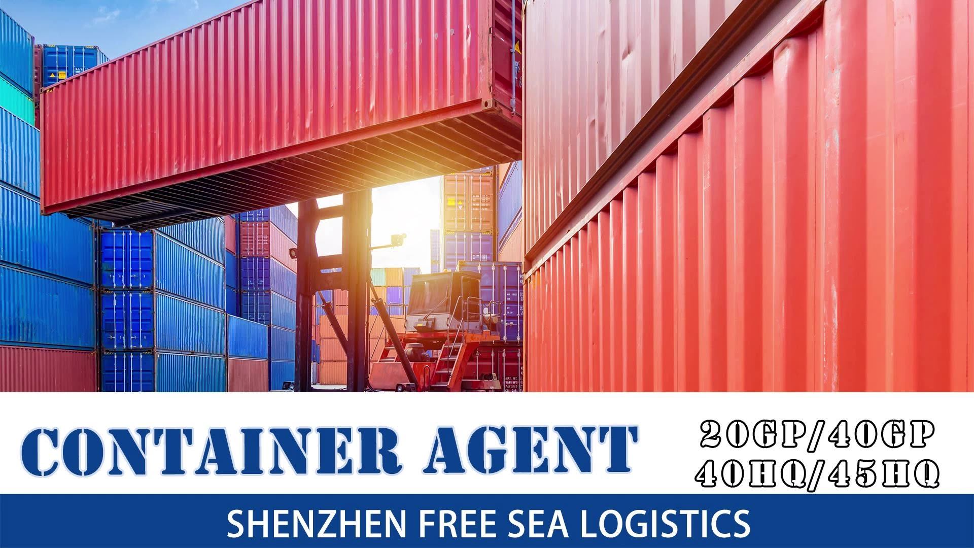 Used Shipping Containers 20ft 40ft Containers To Sa - Buy 20ft ...