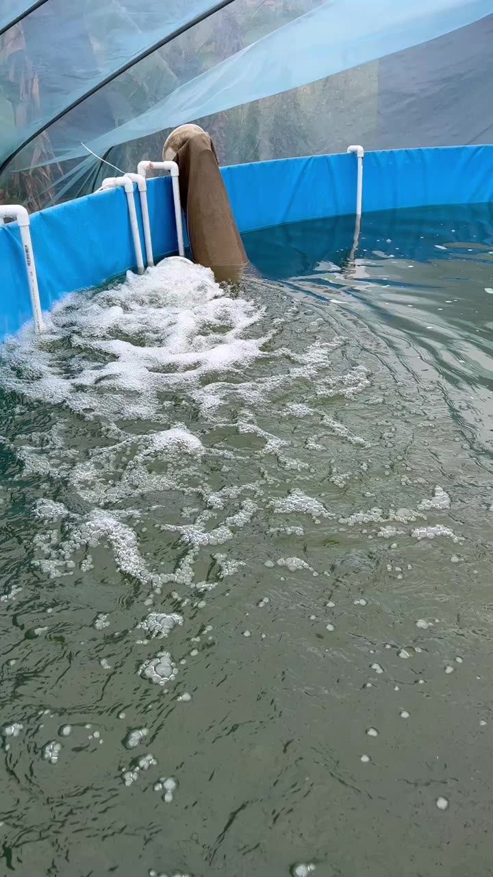 Lvju Aquaculture Fish Farm Tank Ras System Recirculating Fish Farming ...