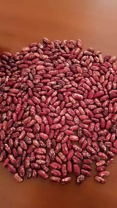 Good Quality Ethiopian Small Red And White Kidney Beans For Sale - Buy ...