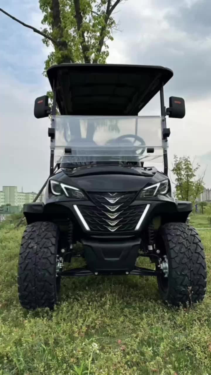 Accept Customized 8 Passenger 2 Person 48v Electric Mini Excar Electric ...