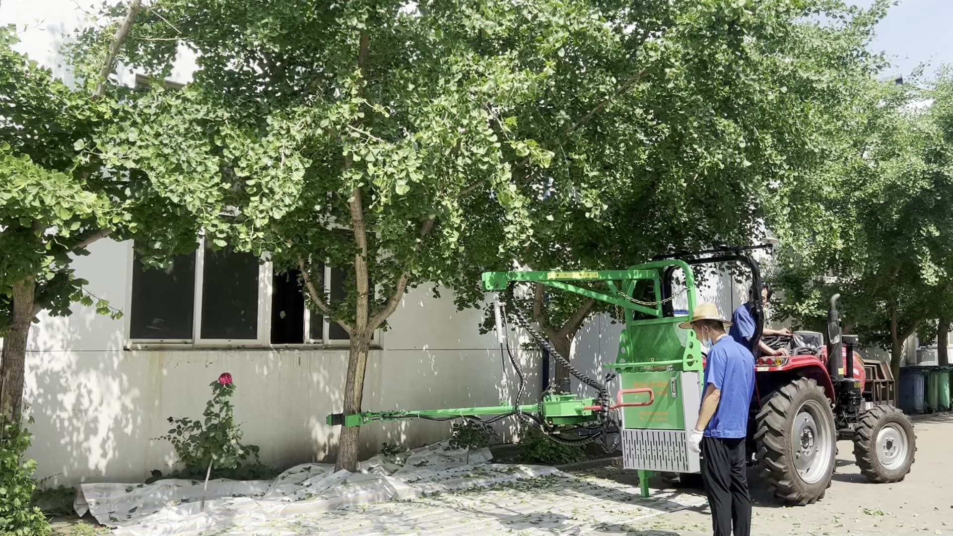 Tractor Mounted Pecan Tree Shaker Machine - Buy Pecan Tree Shaker,Olive ...