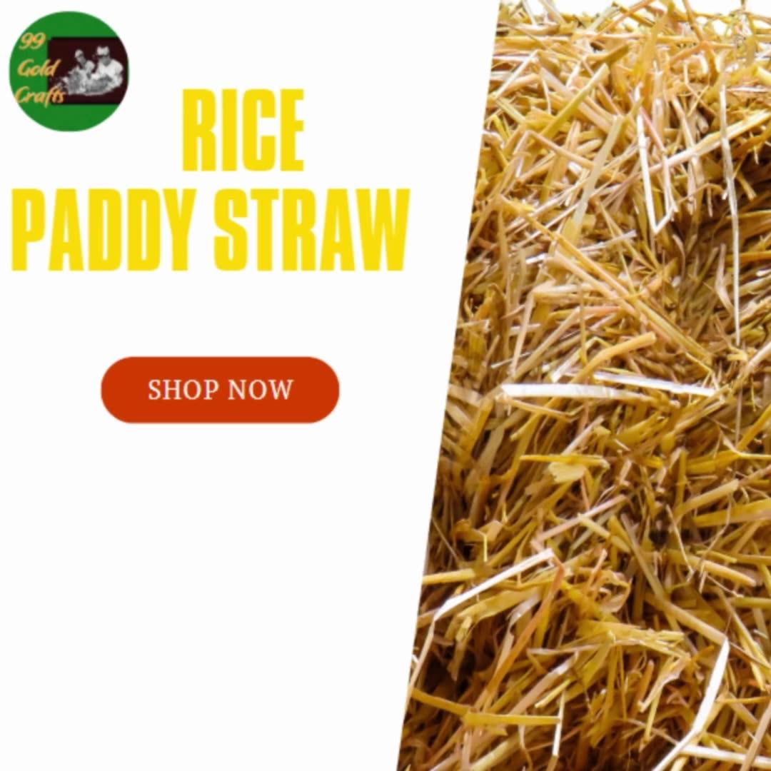 Dried Paddy Rice Hay/ Rice Straw For Exporting In Bulk Quantity ...