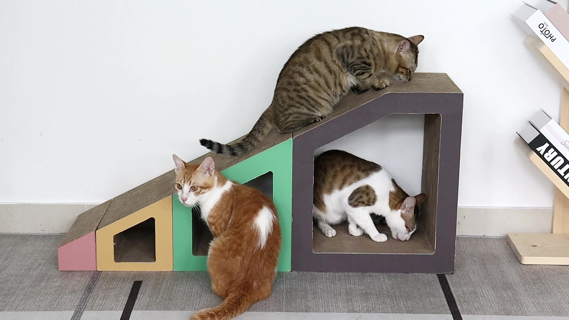 4-in-1 Trapezoidal Large Cat Scratching Board Corrugated Pet Box Nest ...
