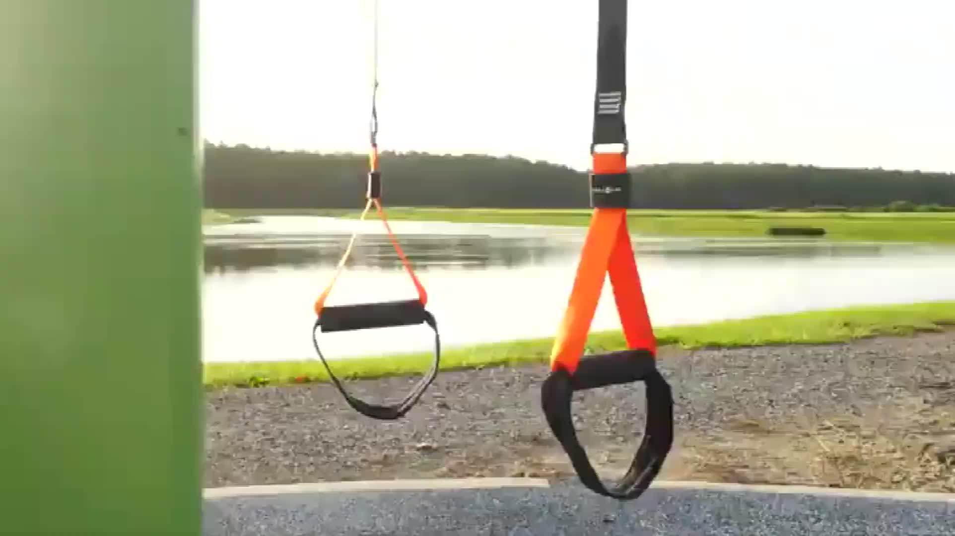 Wellshow Sport Suspension Trainer Strap Portable Resistance Band Kit ...