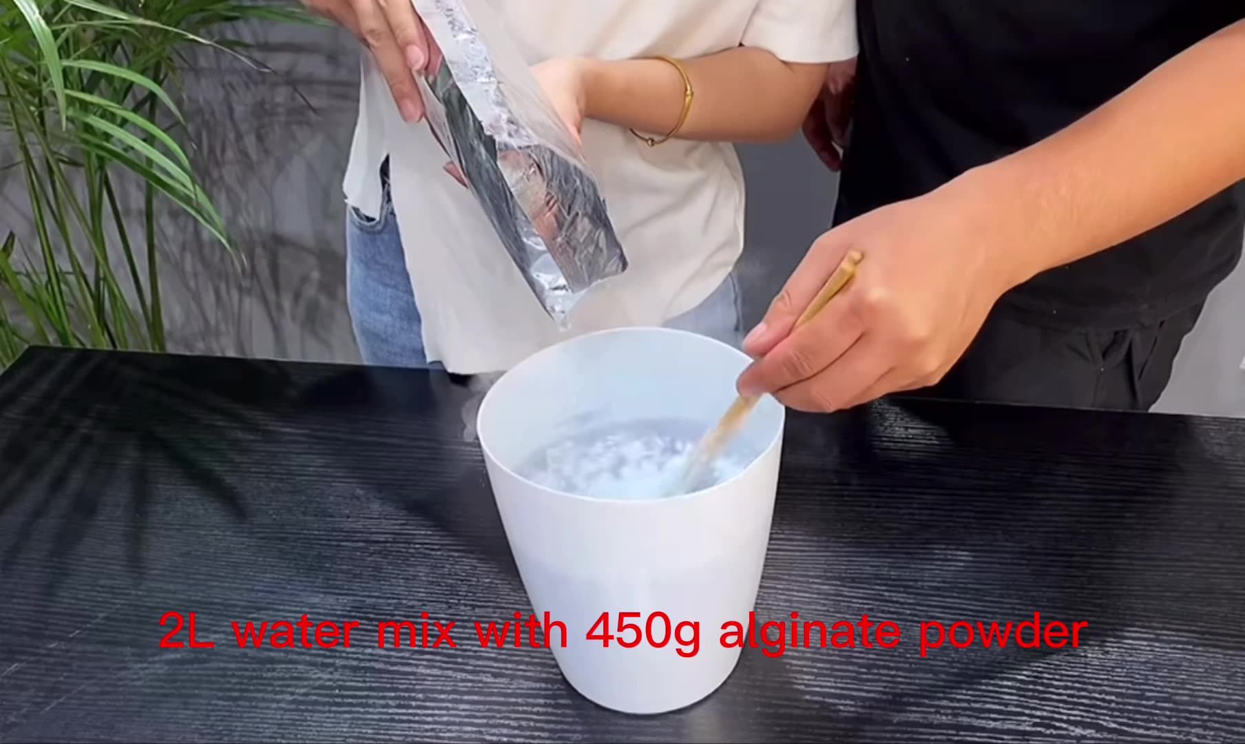 Diy Plaster Statue Molding Kit Alginate Powder 3d Hand Casting Kit ...