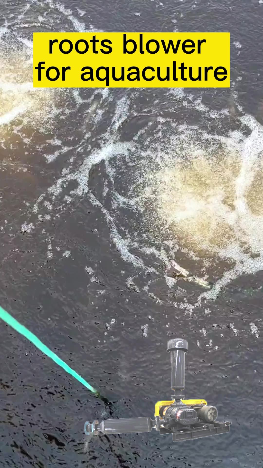 Arus Fish Aquaculture Machine Aeration Oxygen High Quality Cement ...