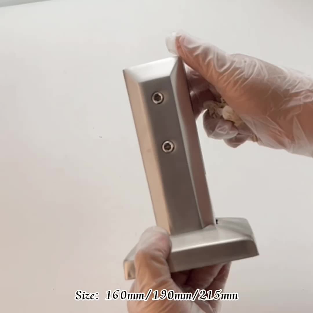 Adjustable Glass Spigot 2205 Stainless Steel Side Mounted Frameless ...