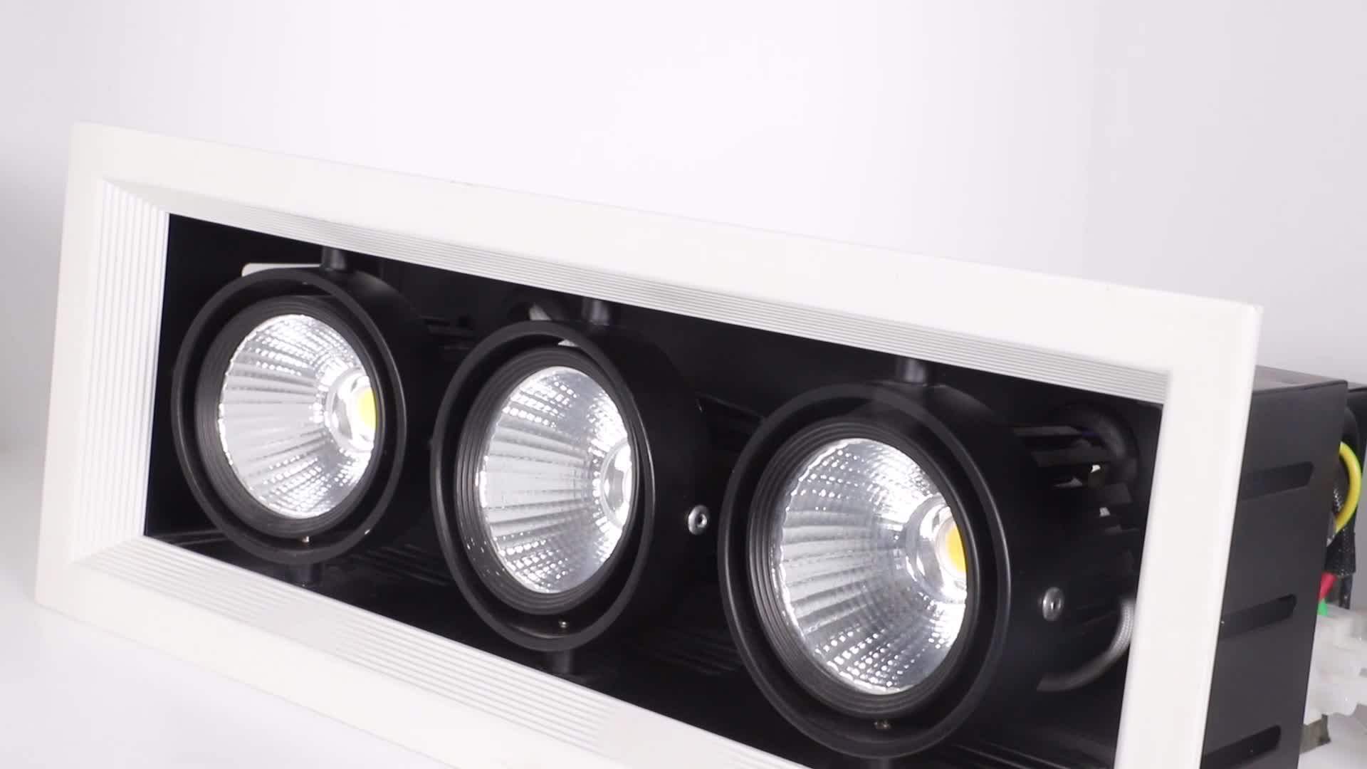 Aluminum Double Head Fixture 2x10w Led Lamp Cob Led Grille Downlight ...