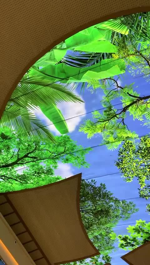 Kids Room Decorative Pvc Stretch Ceiling Film Plafond Tendu Film 3d Uv ...