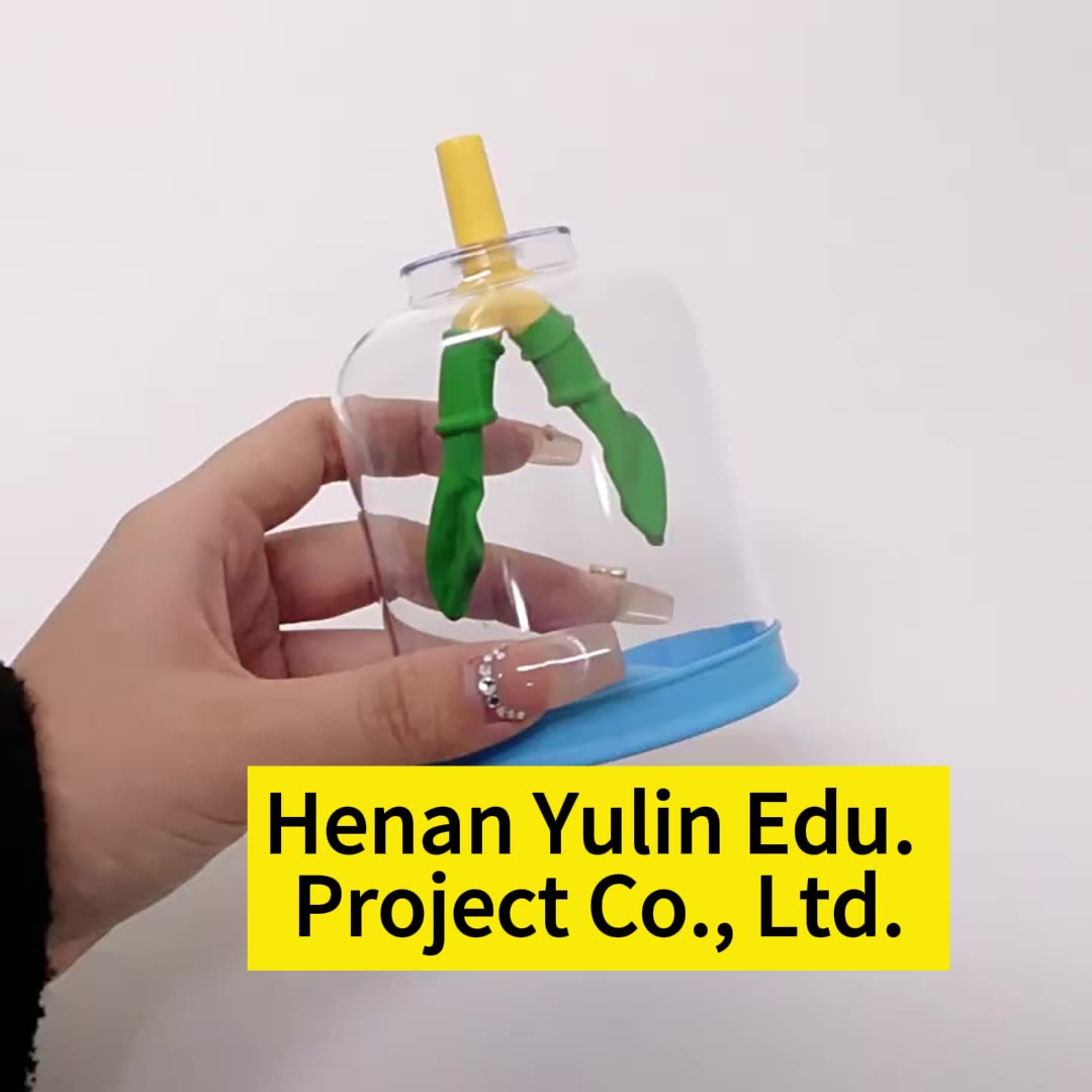 Human Respiratory System Model Lung Anatomy Teaching Simulation Of ...