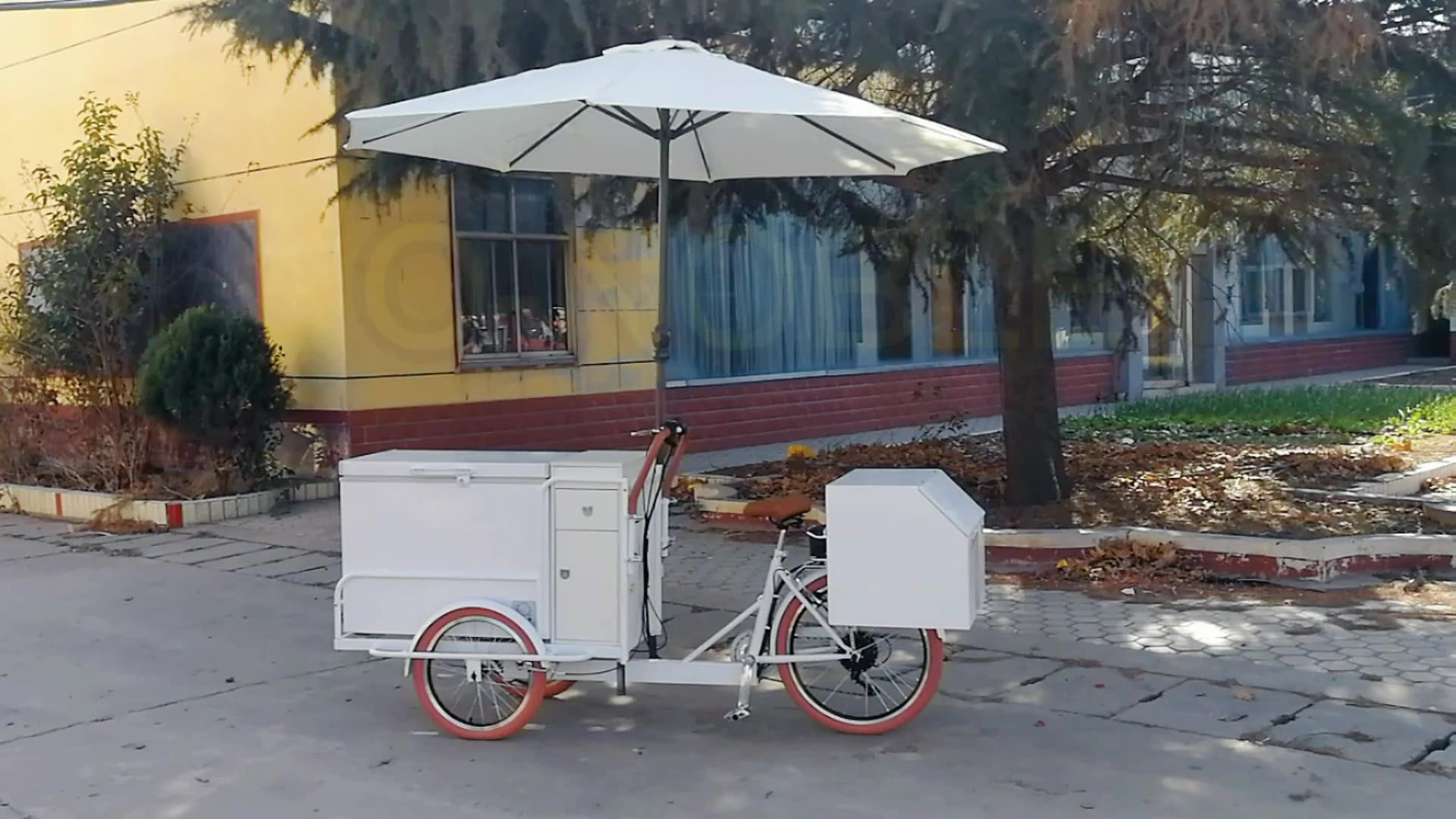Freezer Tricycle With 120l Refrigerator/electric Ice Cream Bike For ...