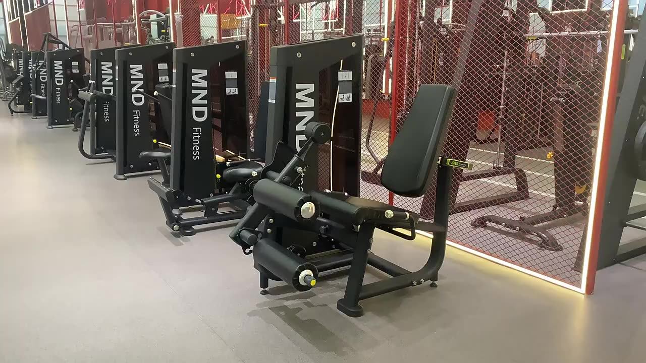 Sport Plate Loaded Machines 45 Extension Hyperextension Back Exercise ...