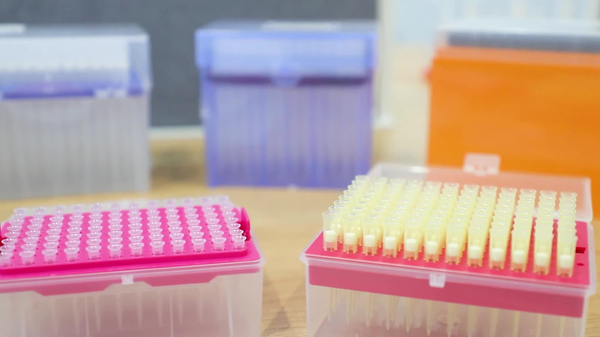 Megarobo 50ul 250ul 1000ul 1250ul Disposable Lab Micro Plastic Filter ...